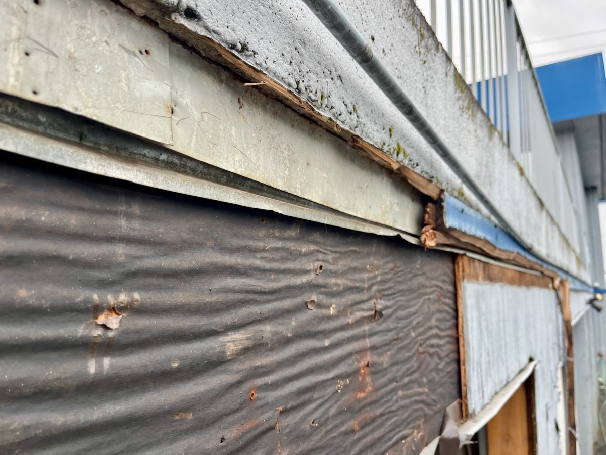 Seattle Trim Repair Expands Dry Rot Services Ahead of Winter Weather ...