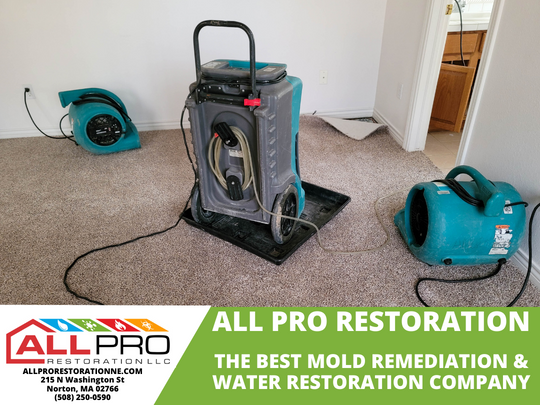 All Pro Restoration Provides Tips For Preventing Mold Growth After ...