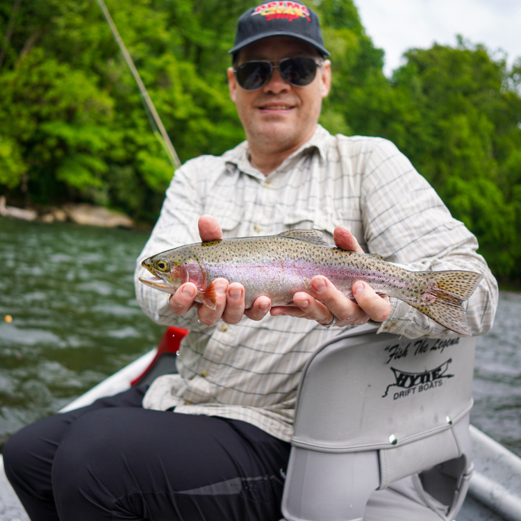 Experience Top-Tier Fly Fishing on South Holston River with High Flying ...