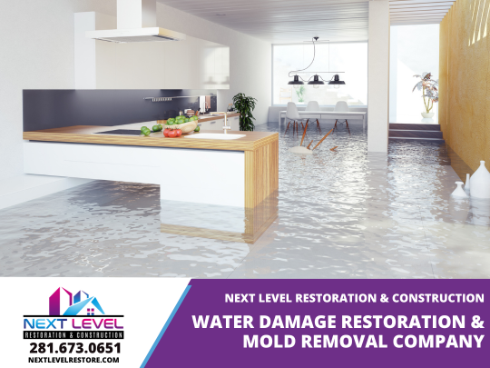 What are the Categories and Classifications of Water Damage Press Services