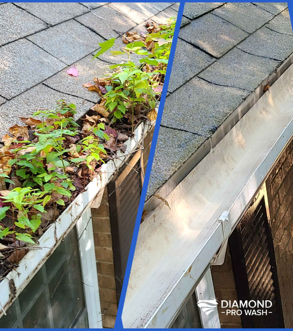 Diamond Pro Wash Explains the Consequences of Neglecting Your Gutters ...