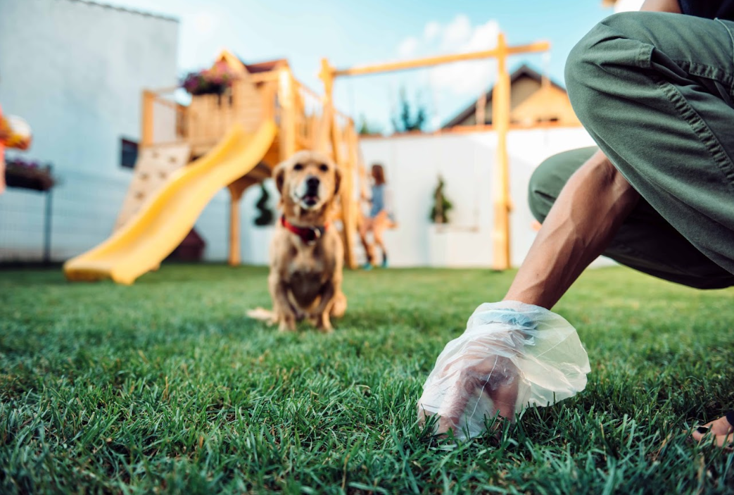 Private Pile Introduces Tailored Pet Waste Solutions for Apartments ...