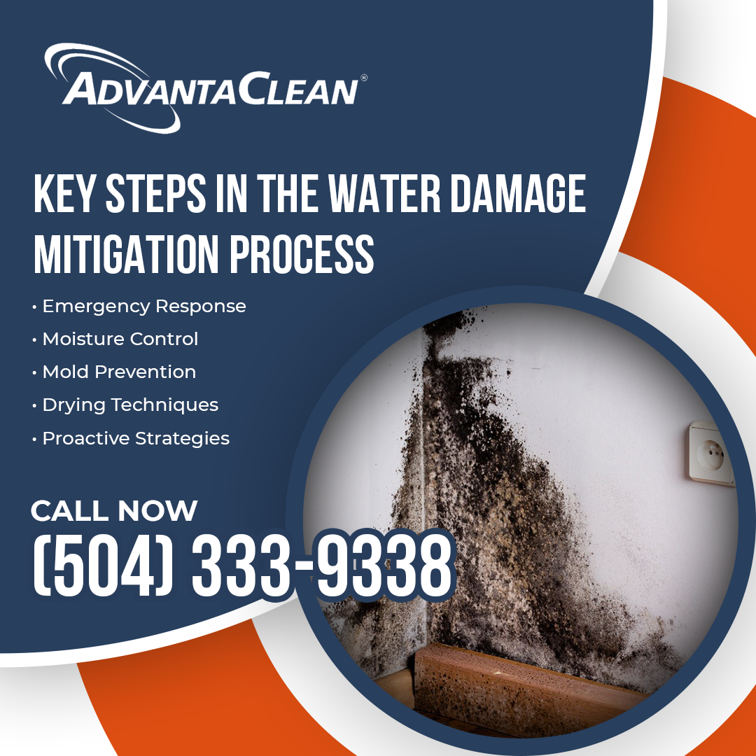 Experts Explain the Differences Between Water Damage Mitigation and ...