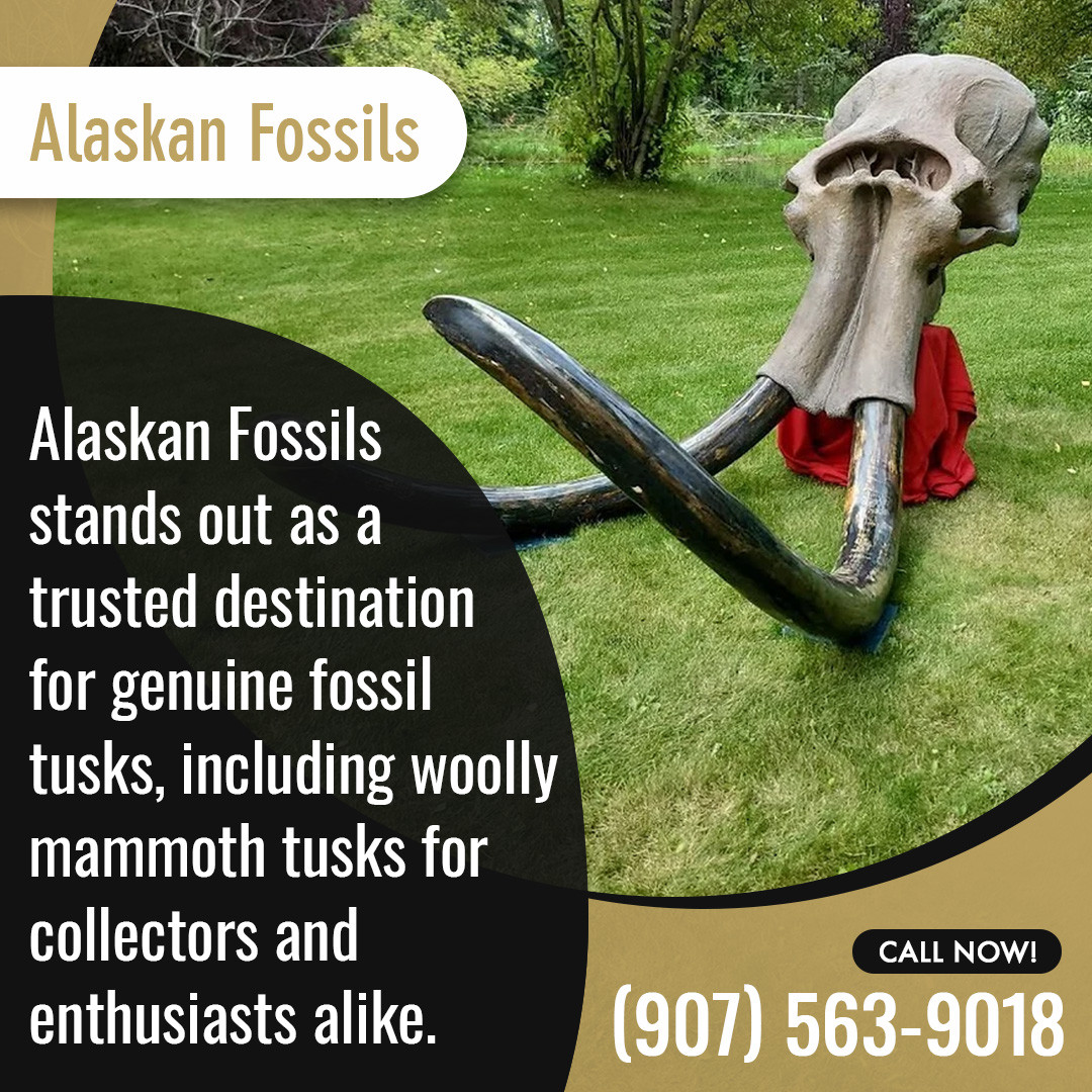 Alaskan Fossils - Media Room Articles