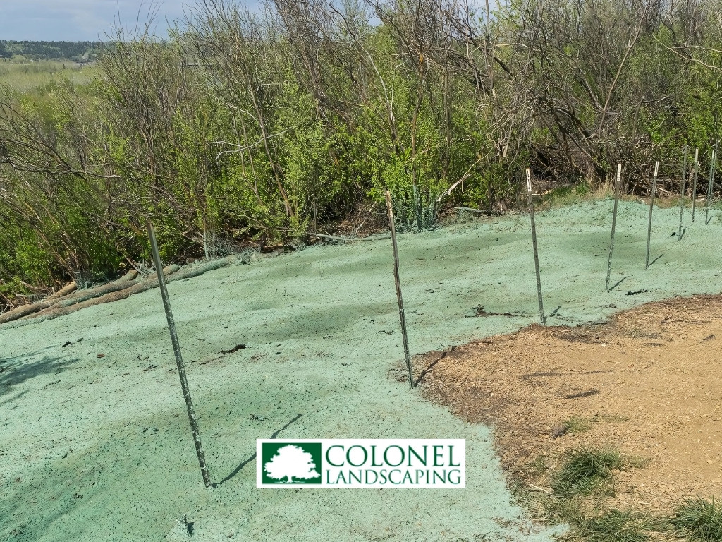 2026 Landscaping Trends Highlight Key Differences in Hydroseeding vs ...