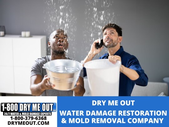 Dry Me Out Discusses Water Damage Prevention Press Services