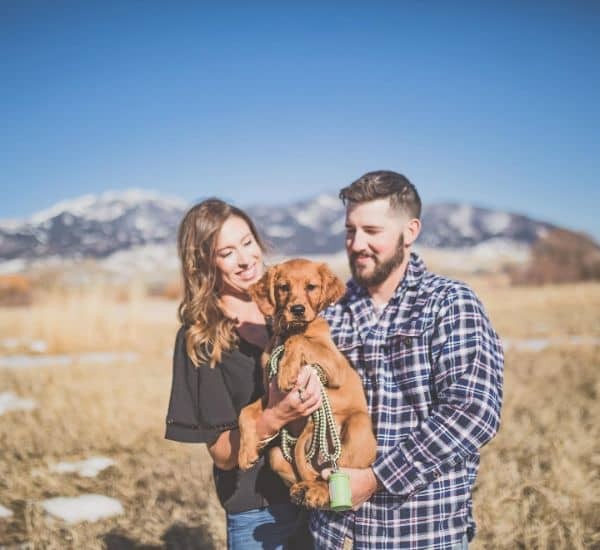 Green Ladder Contractors - Missoula, MT, Remodeling Company Releases ...