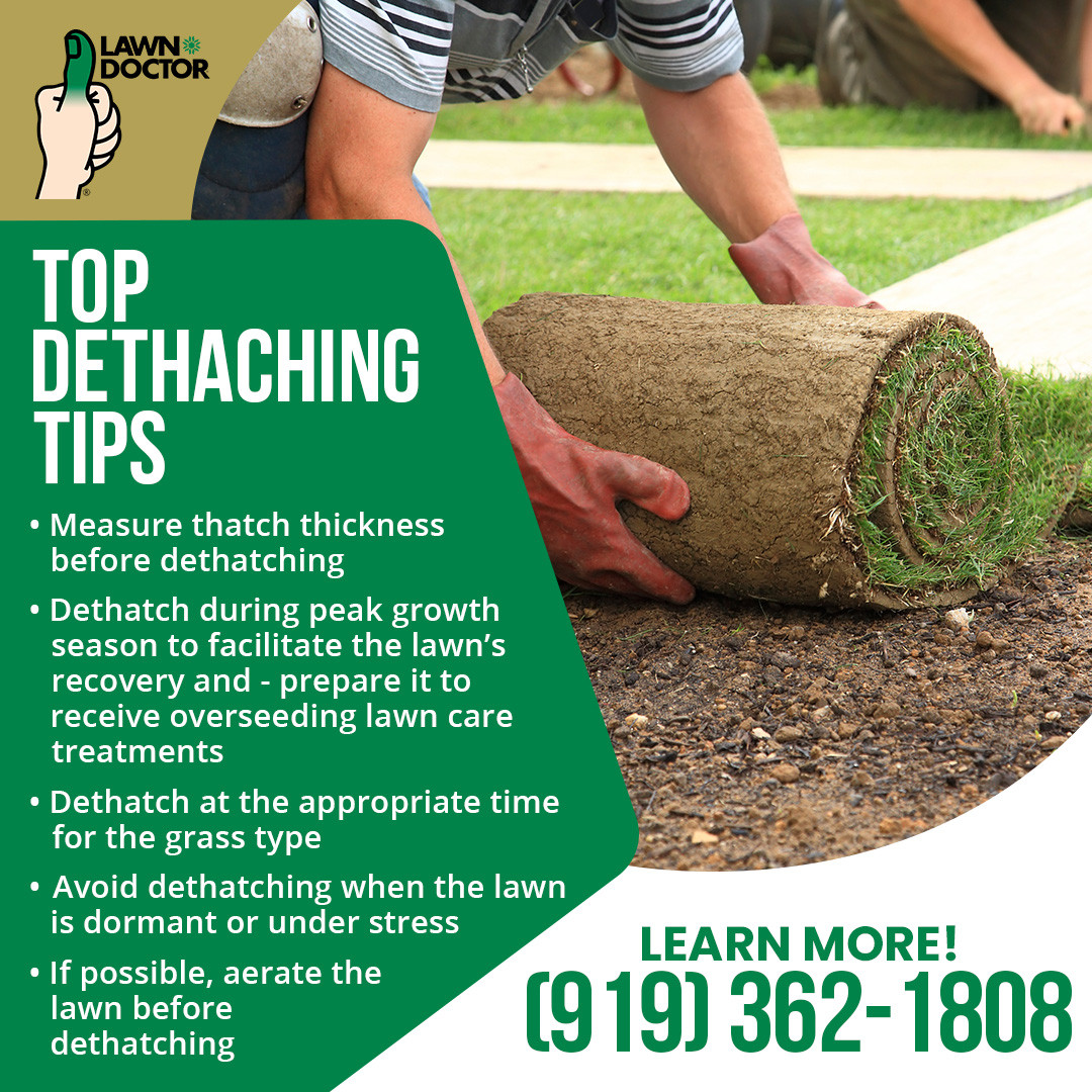 Lawn Doctor of Cary-Apex - Lawn Care Services Company Shares a Basic ...