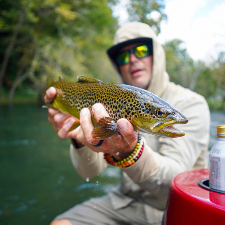 Experience Top-Tier Fly Fishing on South Holston River with High Flying ...
