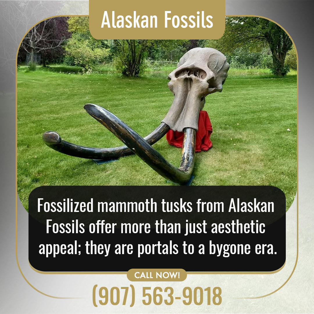 Alaskan Fossils - Media Room Articles